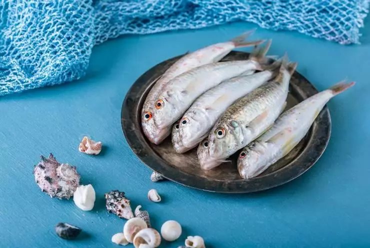 Mullet nyekundu na zafarani PICHA chapa ya mapishi