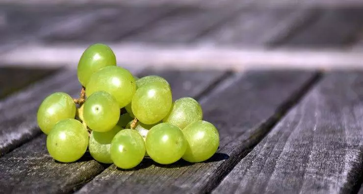 Tarta de manzana y uva FOTO receta impresión