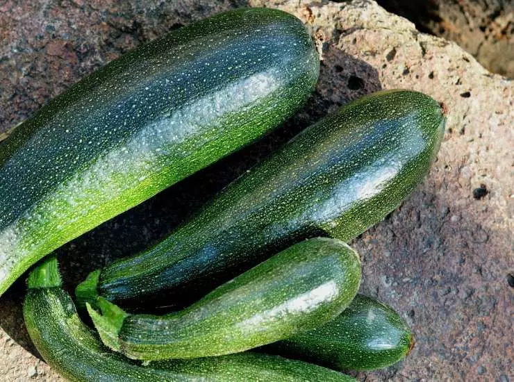 Timbale af zucchini