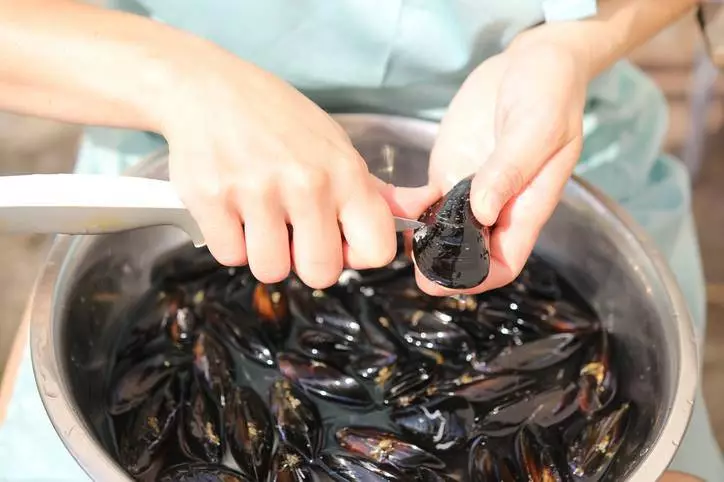 លាងជម្រះនិងចំអិន mussels