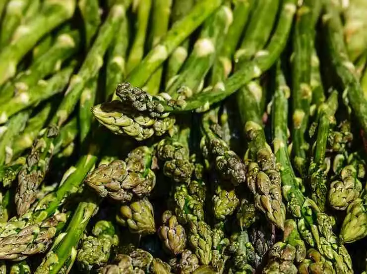 Pai asparagus dengan krim parmesan FOTO ricettasprint