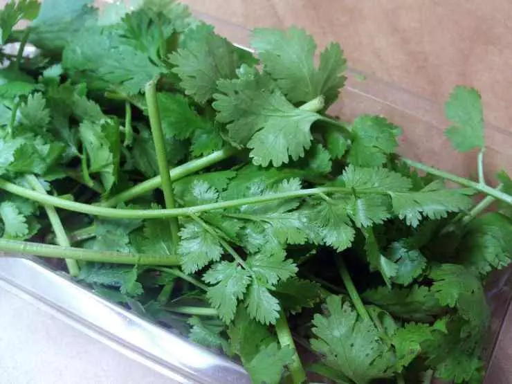 Espaguetis con pesto de perexil e polbo bebé Impresión da receita de FOTO