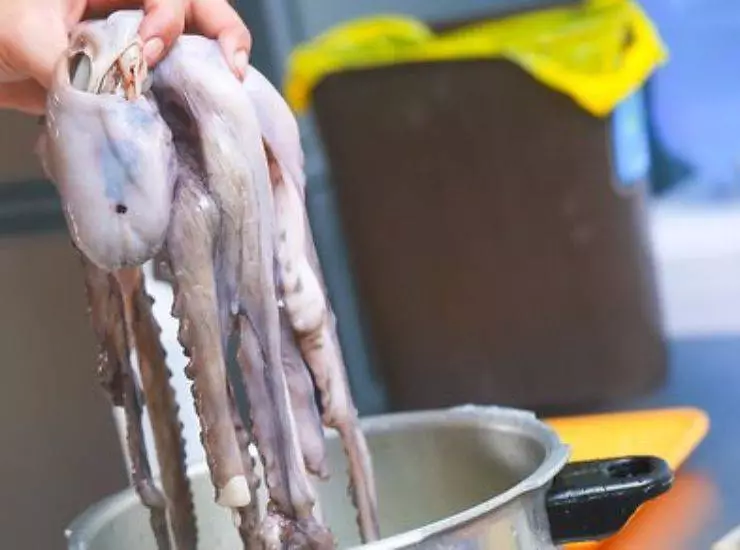 октопод во готвењето