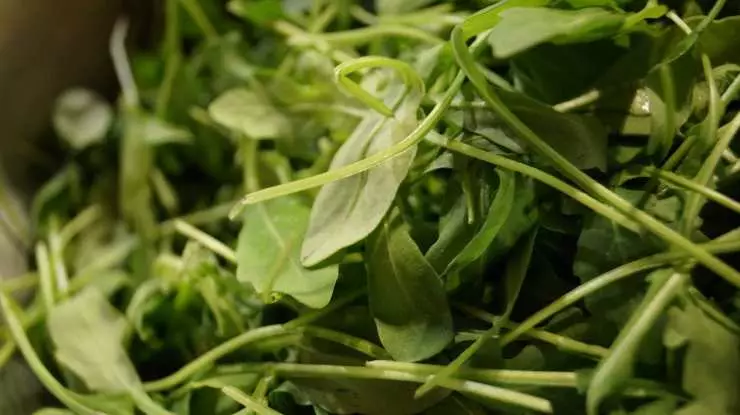 Gnoquis con pesto de rucola, salmón e piñóns FOTOGRAFÍA impresa da receita