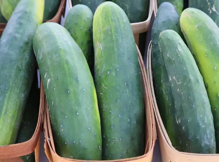 Batang timun dengan keju krim cetakan resipi PHOTO