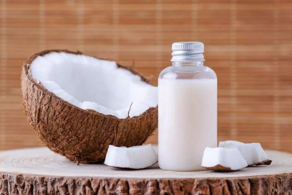 Krim kelapa dalam botol pencuci mulut untuk dinikmati pada musim panas 12919_2