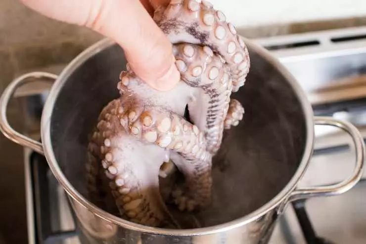 Octopus Carpaccio a Fläsch