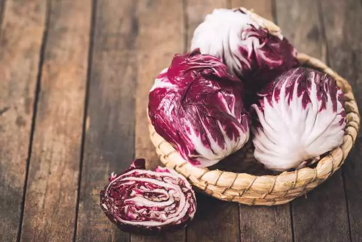 Imprimer la recette PHOTO de ragoût de radicchio