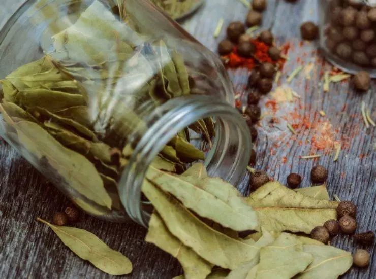 Rundstykker i Messina-stil med blandet salat - ricettasprint