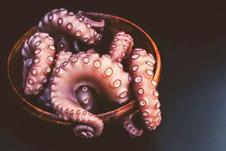 Garneļu pastas un astoņkāju mērce | Inspektora Montalbano šķīvis 13954_2