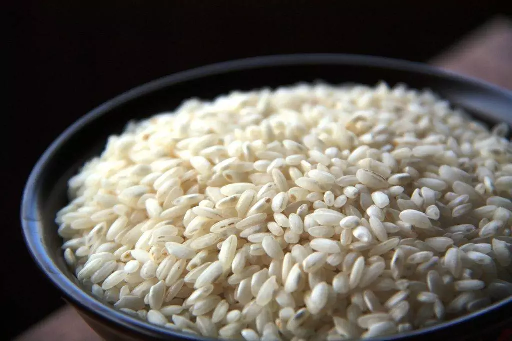 Pirinç, ceviz ve elma FOTOĞRAF tarifi baskısı