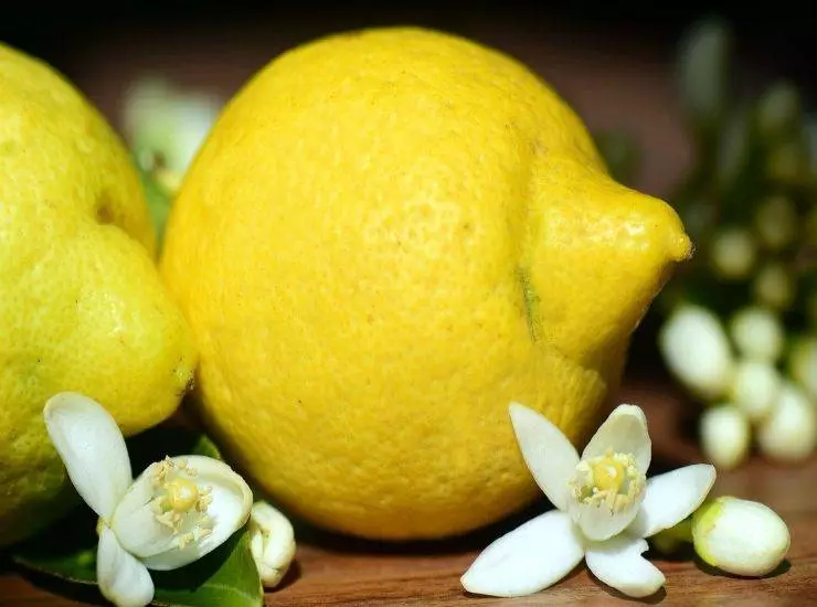 Søde citronfritter, et par minutter og afsted til lysten til det gode 14331_2
