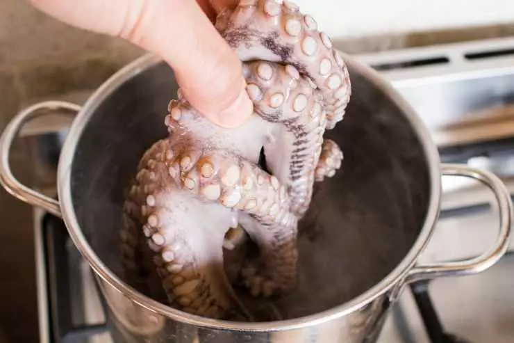 Quick octopus salad - recipe print