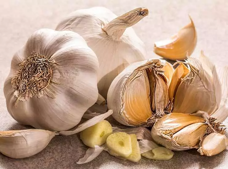 Paccheri cushe da stracchino tsiran alade da gasa namomin kaza girke-girke