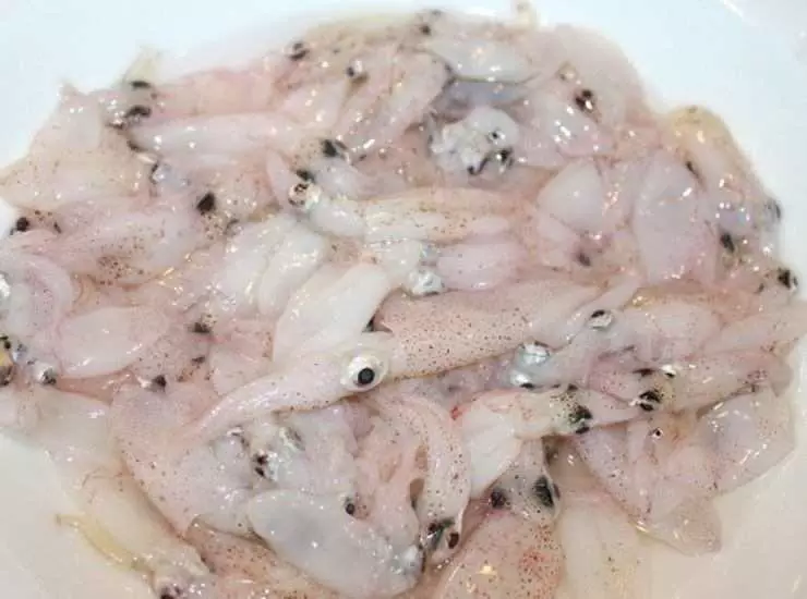 بچه ماهی مرکب