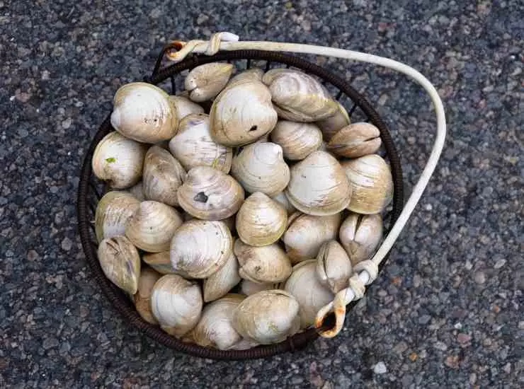Mezzi rigatoni nwere clams na ude asparagus - ricettasprint