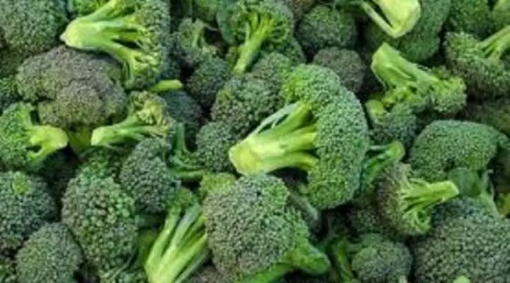 Għaġin bil-brokkoli u gorgonzola RITRATT riċetta stampata