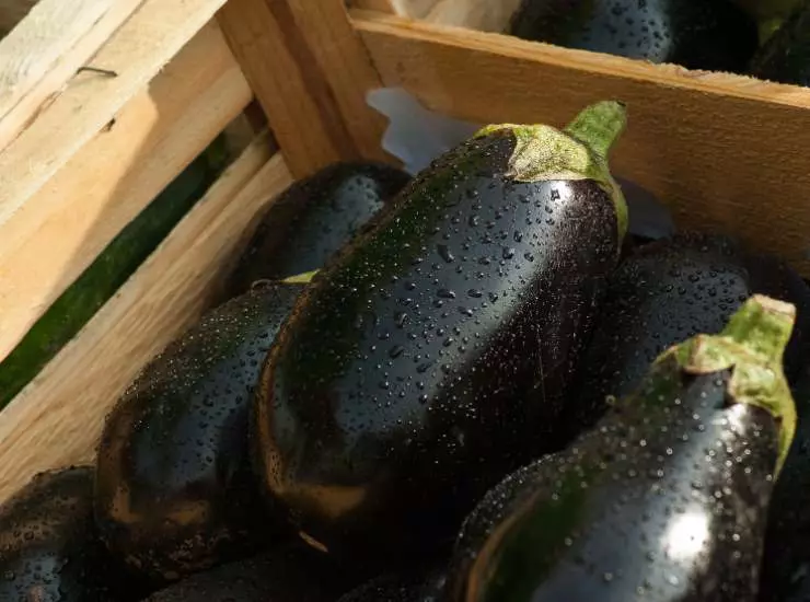 Tomatos oer wedi'u stwffio eggplant a capers rysáit