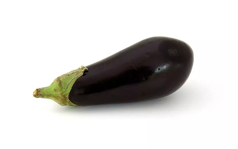 Eggplant Mofo tsy misy atody