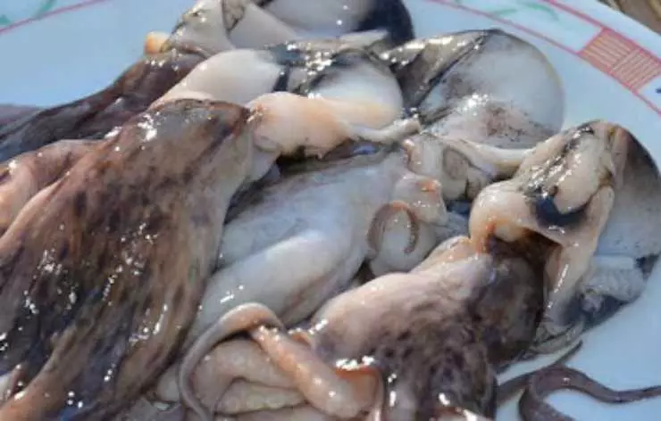 ปลาหมึกยักษ์ ลูเซียน่า | อาหารทะเลสไตล์เนเปิลส์แสนอร่อย 15967_2