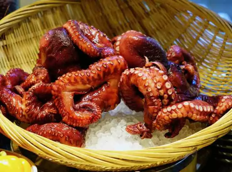 Octopus crispy in anlann milis agus géar Oideas Grianghraf