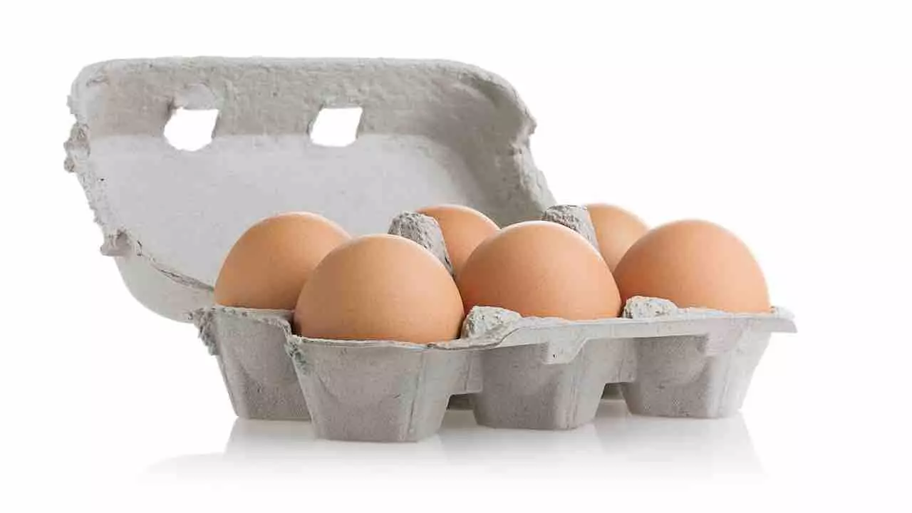 Organiczny wzmacniacz jajek | nowy mecz