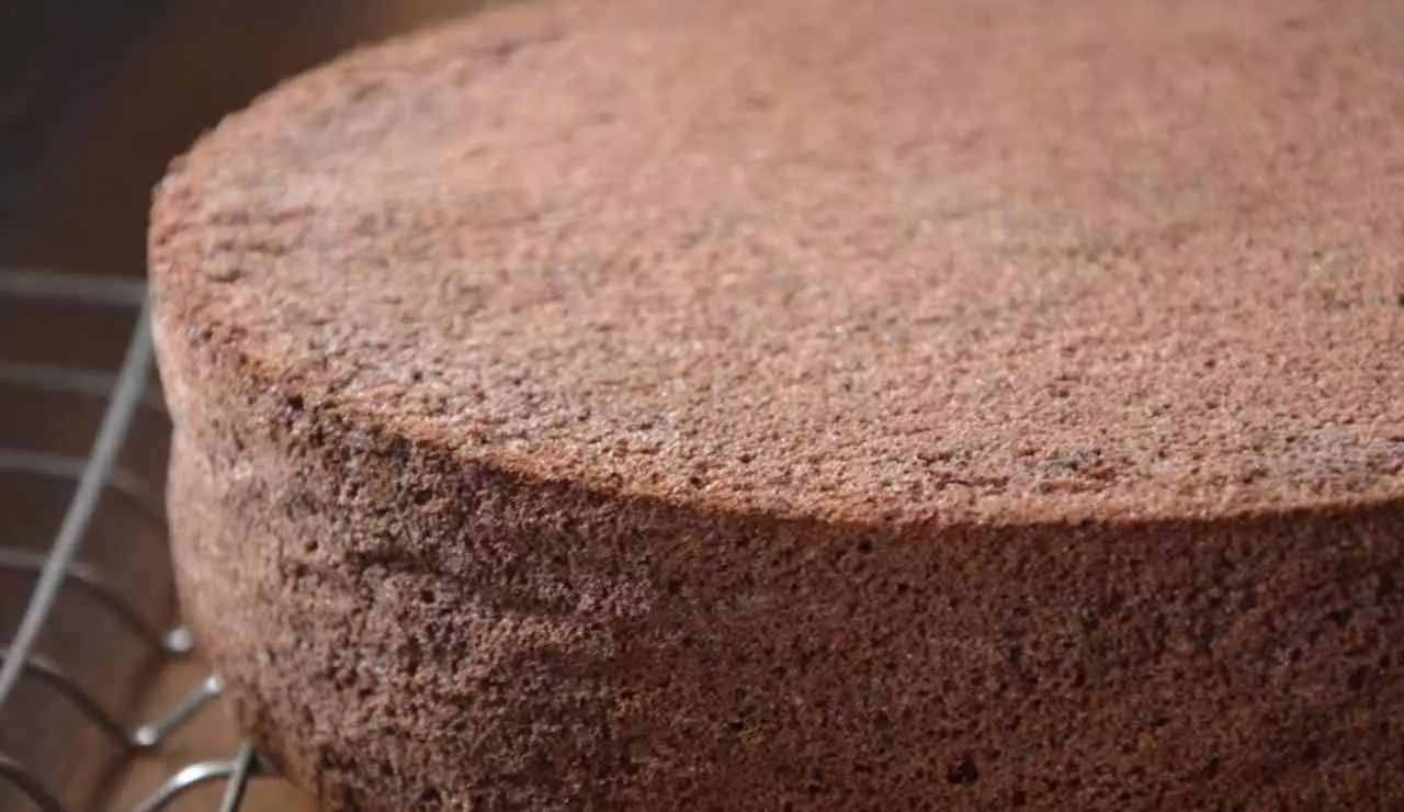 Rikotas un nutellas biskvīta kūka — ideāls pamats jūsu darbiem