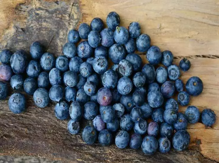 Iyogathi yamaGreki ne-blueberry plumcake | ukuqala usuku ngokunambitha 17364_4