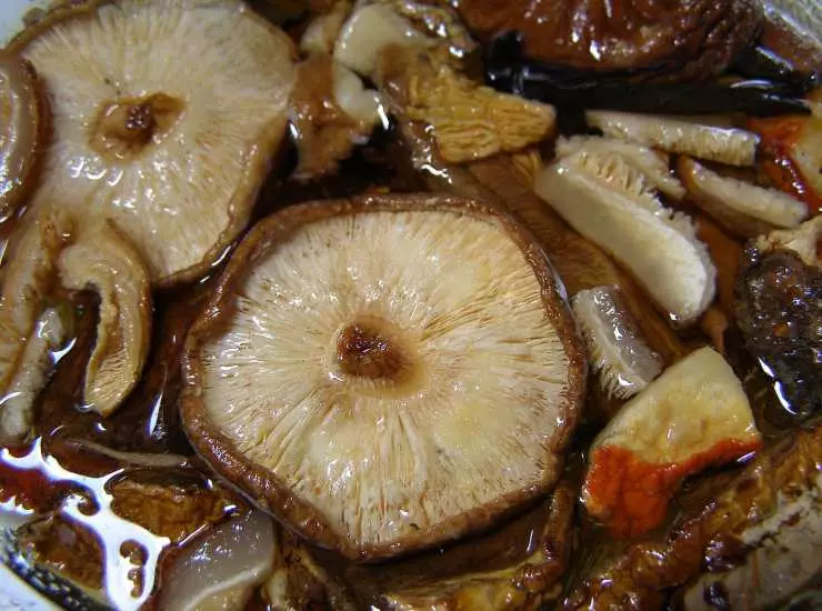 champignons mixés