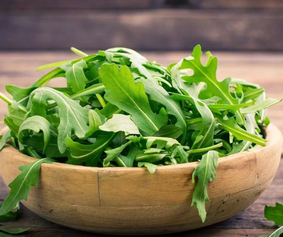 Calabacín con rucola e abelás