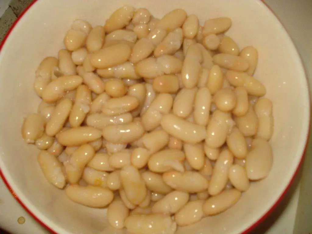 Cannellini Bean an Borlotti Bean Burger, déi zweet vegetaresch 18431_2