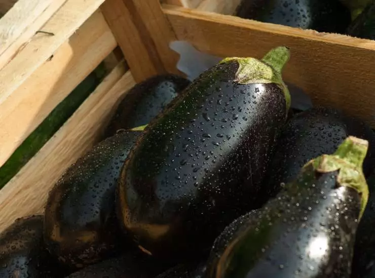 Eggplant na-apụta na ricotta na walnuts - ricettasprint