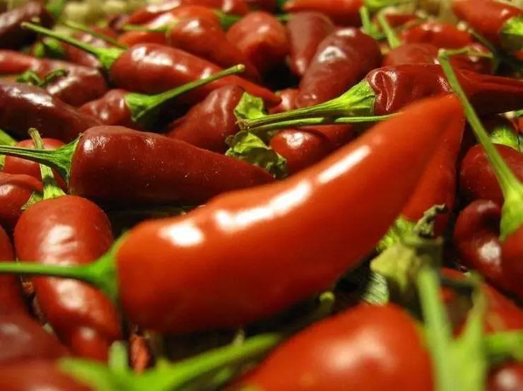 Calabrian spicy in oil LITRATO recipe print
