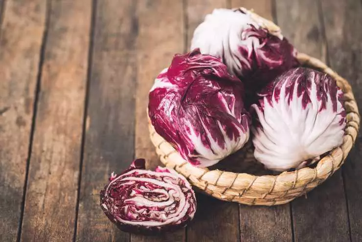 Rolls with scamorza cheese and radicchio PHOTO recipe print