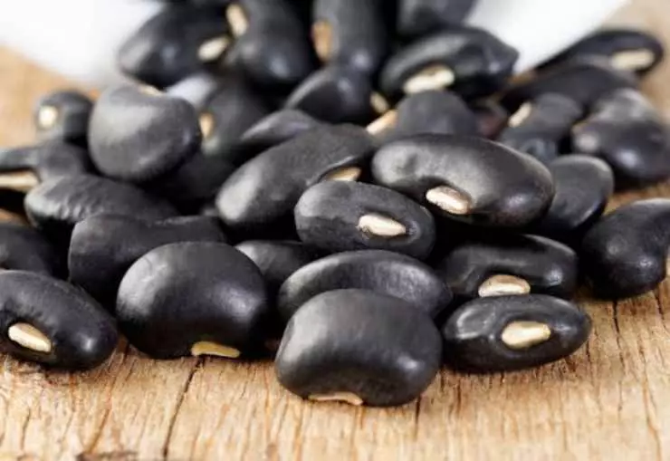 Cetakan resipi sup kacang hitam Mexico