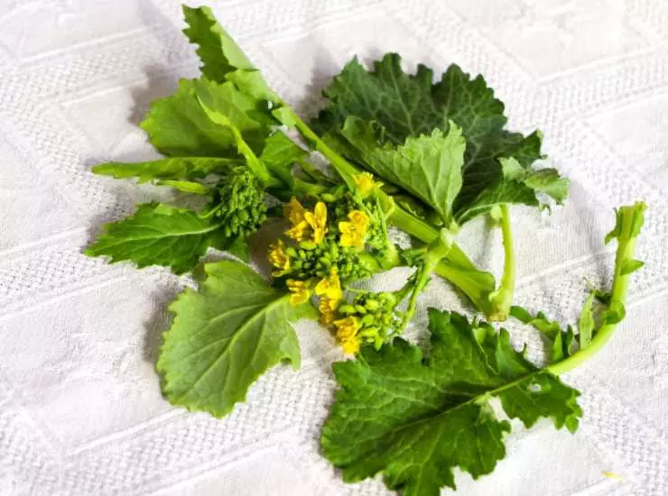 Napolitansk fylld munk med korv och broccoli FOTO ricettasprint