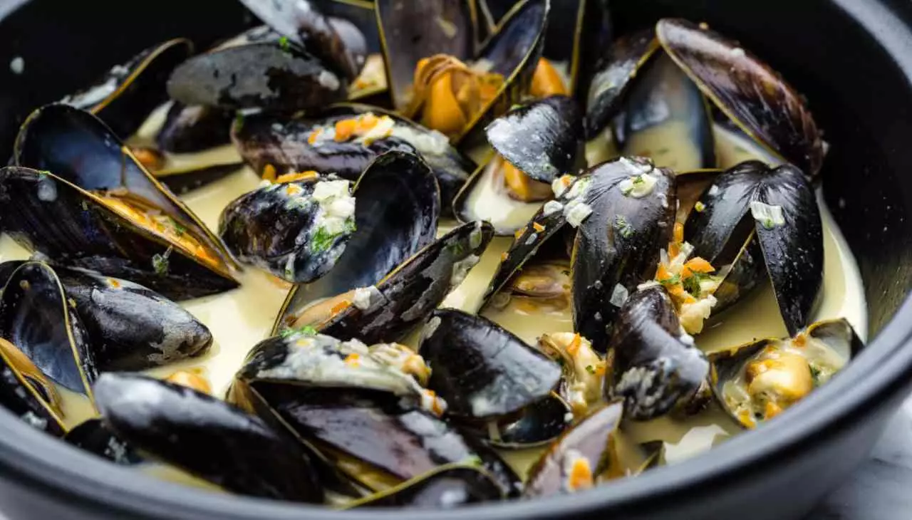 Mussels with saffron and cream