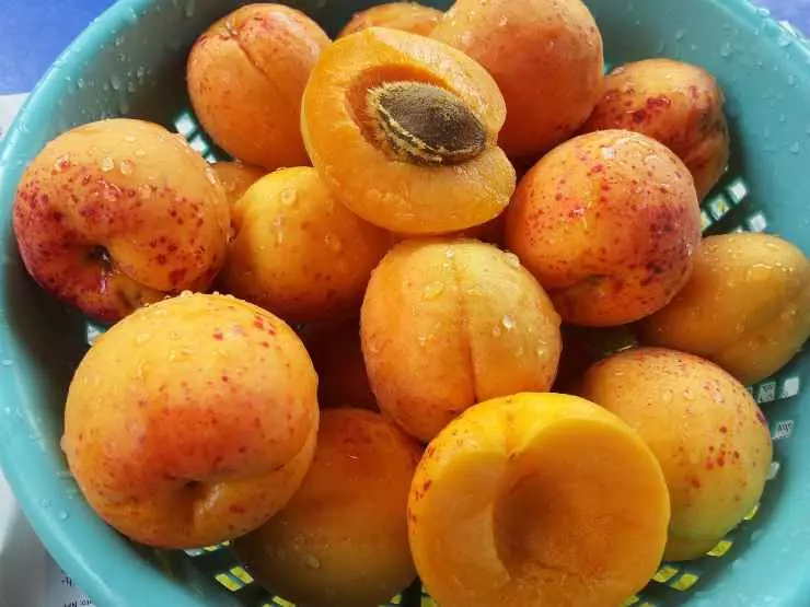 Lub caij ntuj sov ncuav qab zib nrog apricots