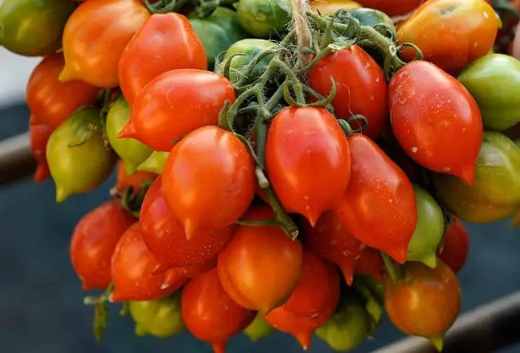 Linguine aux crevettes et tomates cerises rapides | Un plat aux saveurs incroyables 19422_3