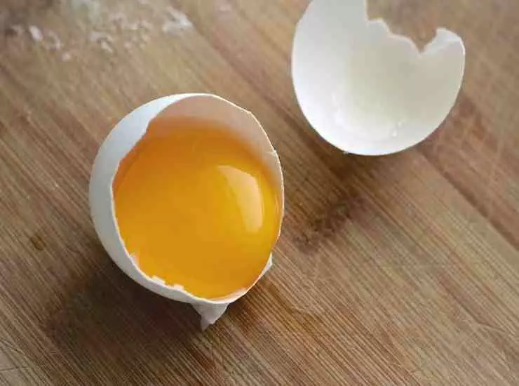 üzvi yumurta