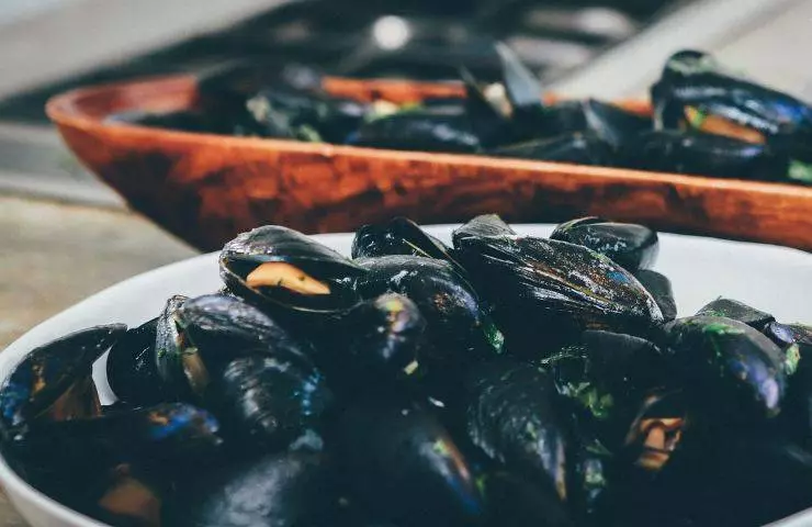 آلودہ mussels