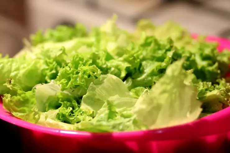 tortilla con lechuga