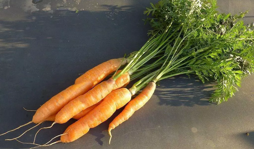 Zucchini ແລະ Carrot Pancakes