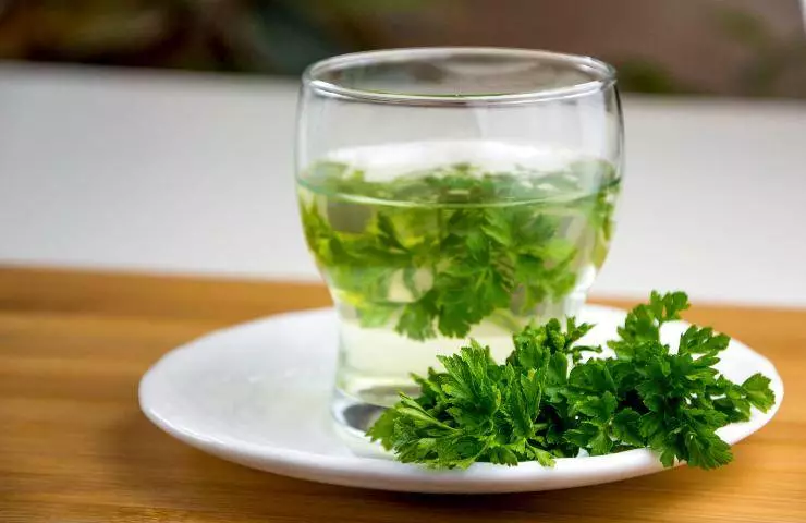 Ewebe tii pẹlu parsley