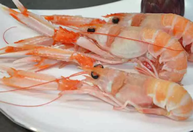 Tonnarelli tare da shrimp da ceri tumatir miya | Dadi kuma mai sauƙi na farko 20883_2