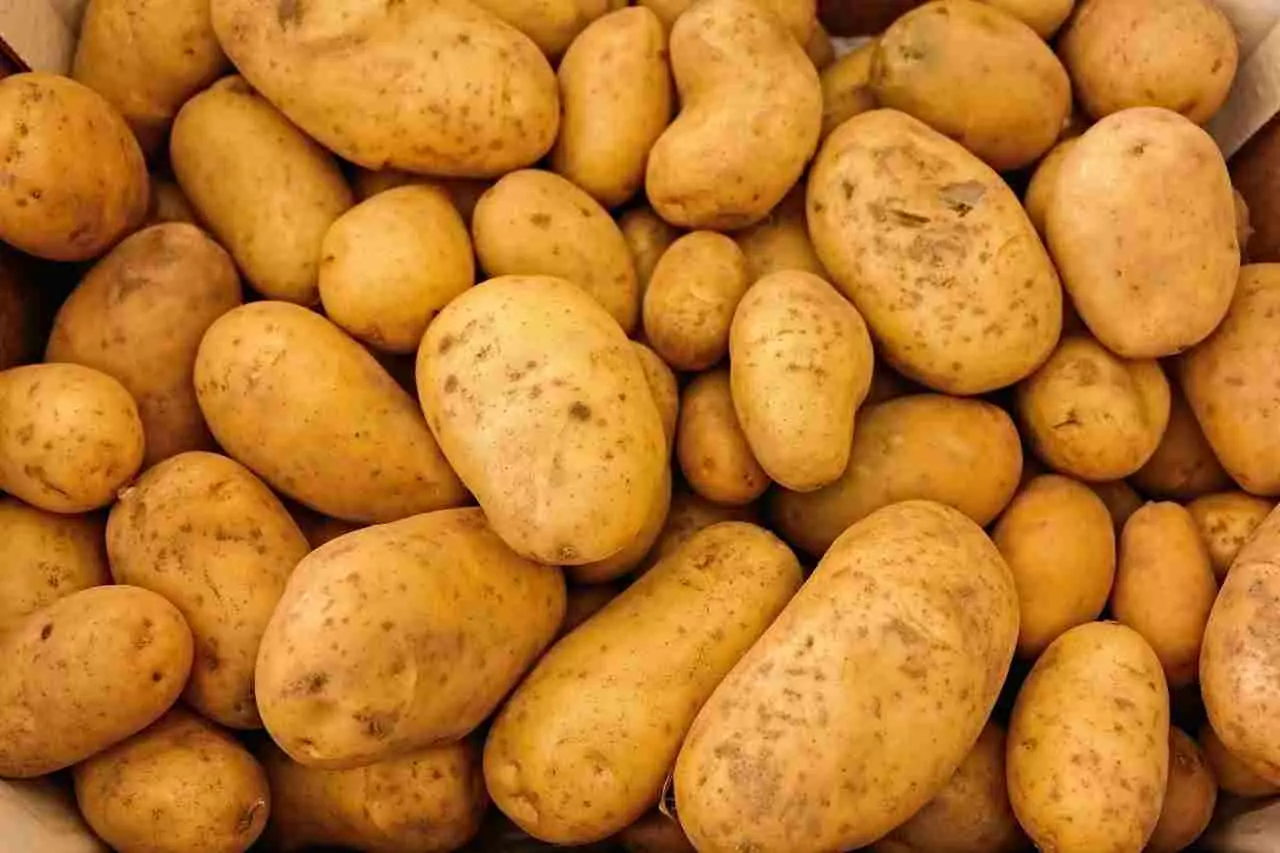 Kartoffel-Kohl-Flan, im Handumdrehen fertig 20981_2