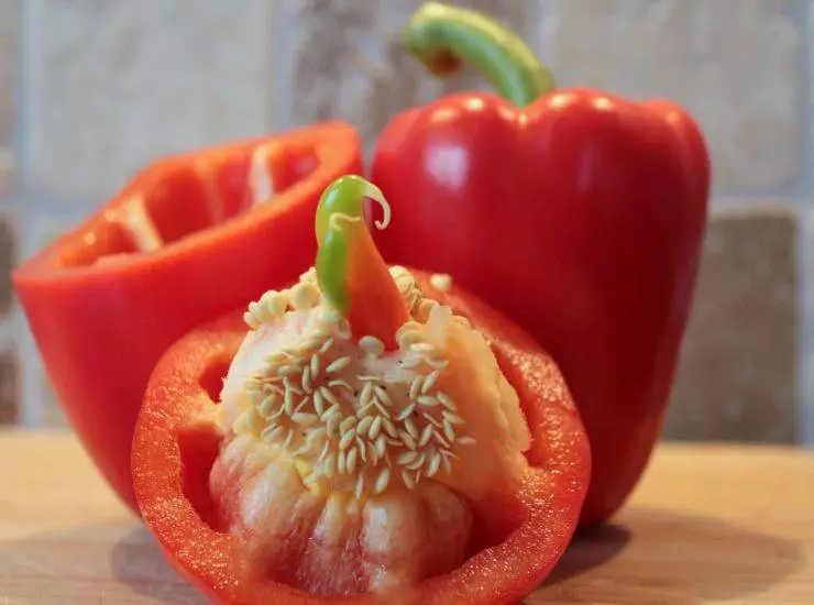 Stuffed peppers Abruzzo style | qab lub regional daim ntawv qhia 21532_4