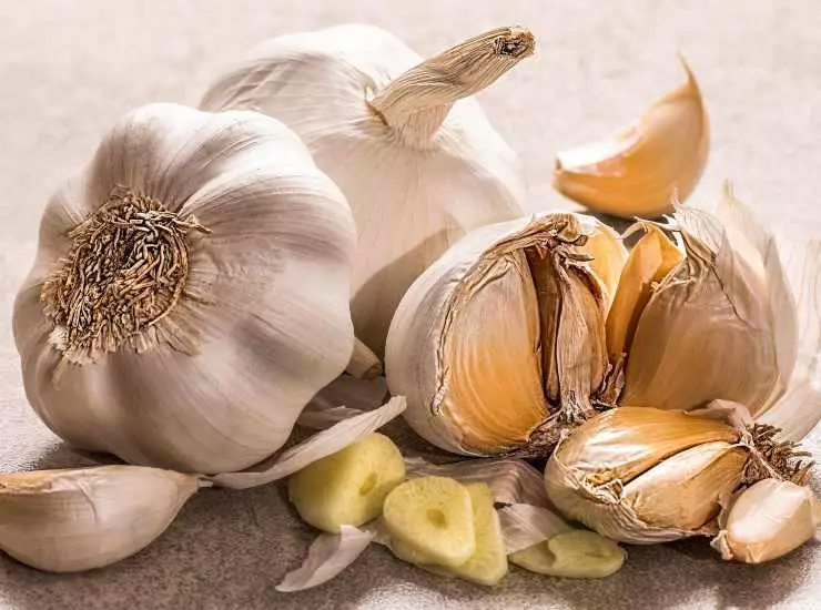 Receta de pasta de atún a las eólicas