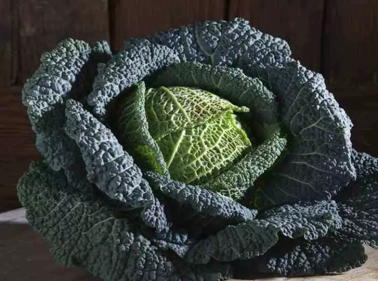 Black cabbage chips recipe