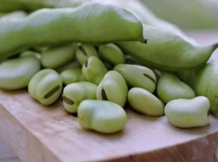Fresh fava bean soup recipe preparation ingredients 22226_2